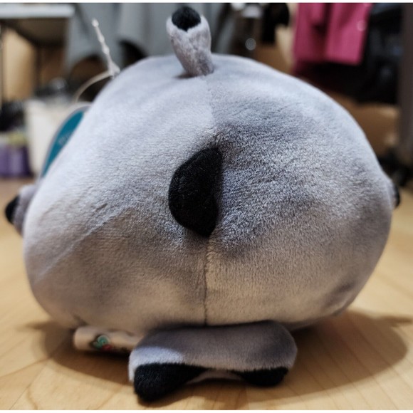 Kellytoy | Toys | Squishmallow 5 Gordon Shark Walgreens Exclusive Gray ...